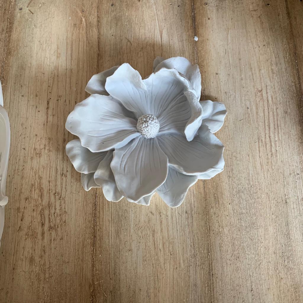 Tabak Manolya çiçeği